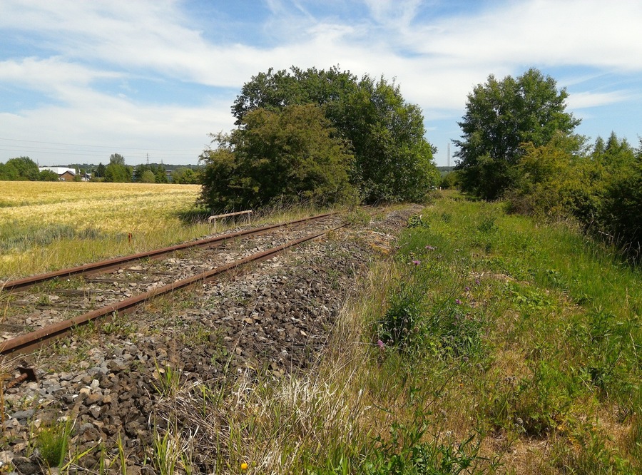 Paisagem rural com trilhos de trem, um campo e árvores.