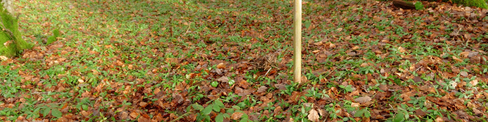 This file was uploaded with Commonist. Borne géodésique n° 9000202 (à Angeot).