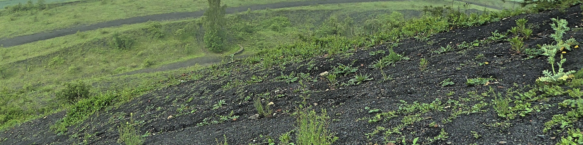 Terrils nos 2 et 3 dit 6 de Bruay Est et Ouest, Fosse n° 6 - 6 bis - 6 ter de la Compagnie des mines de Bruay, Ruitz et Haillicourt, Pas-de-Calais, Nord-Pas-de-Calais, France.