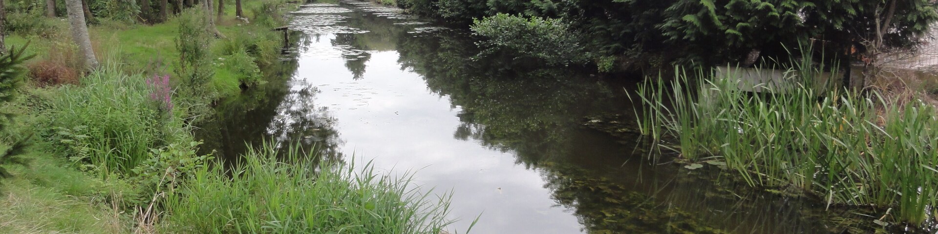 Ollezy (Aisne) la Sommette