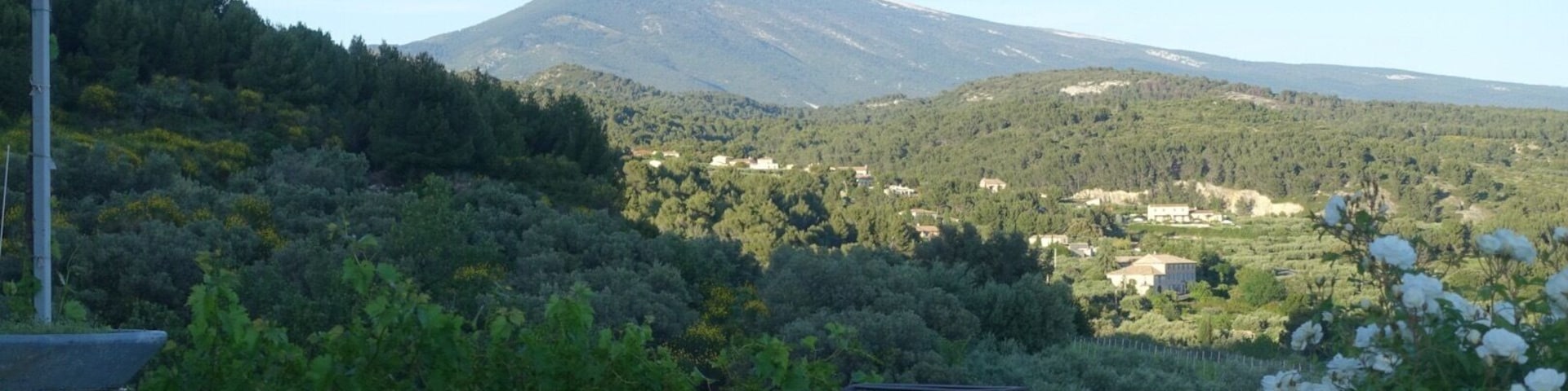 View of Mont Ventoux from our terrace looking West