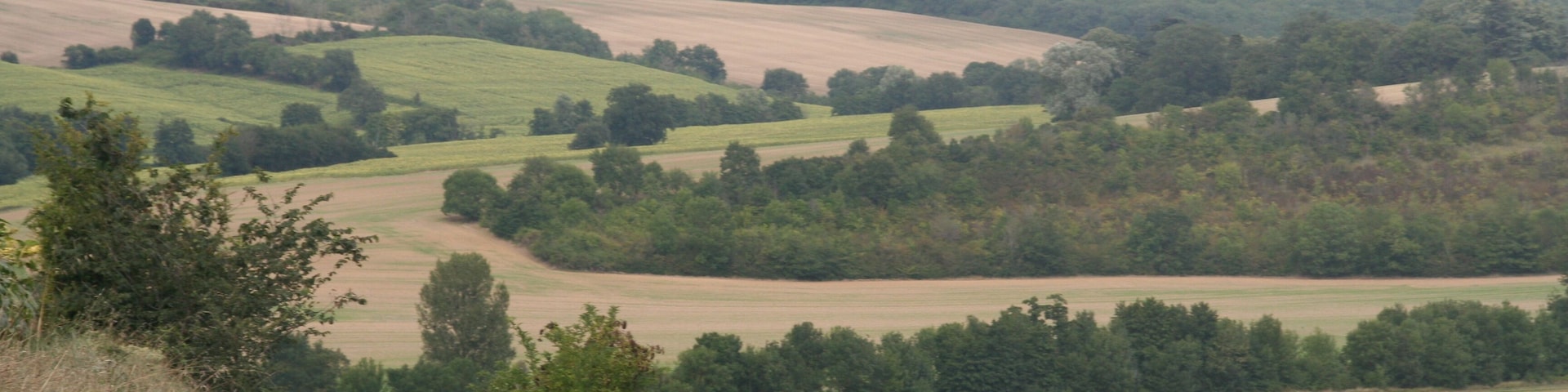 Apprentis motards dans la campagne toulousaine
