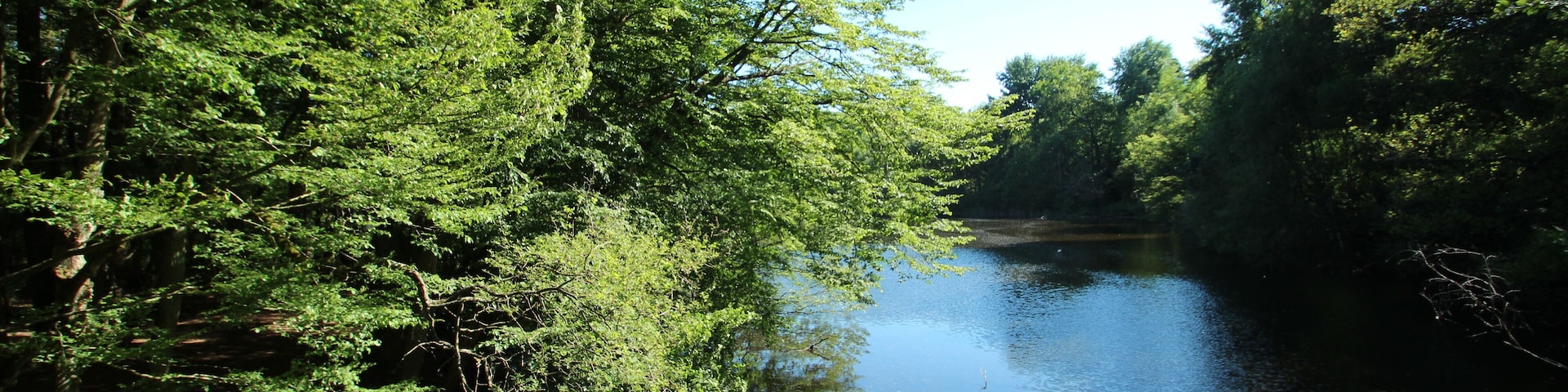 This image was uploaded as part of Wiki Loves Earth 2017.