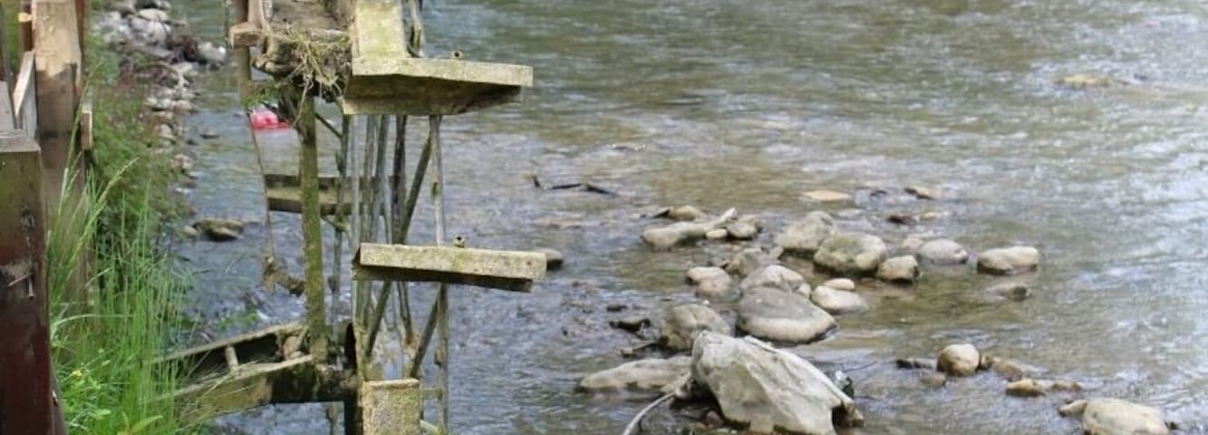 Water song  ( Su çarkı) 
Cumayanı, Karabük, Turkey 
#watersong #cumayanı #karabuk #turkey