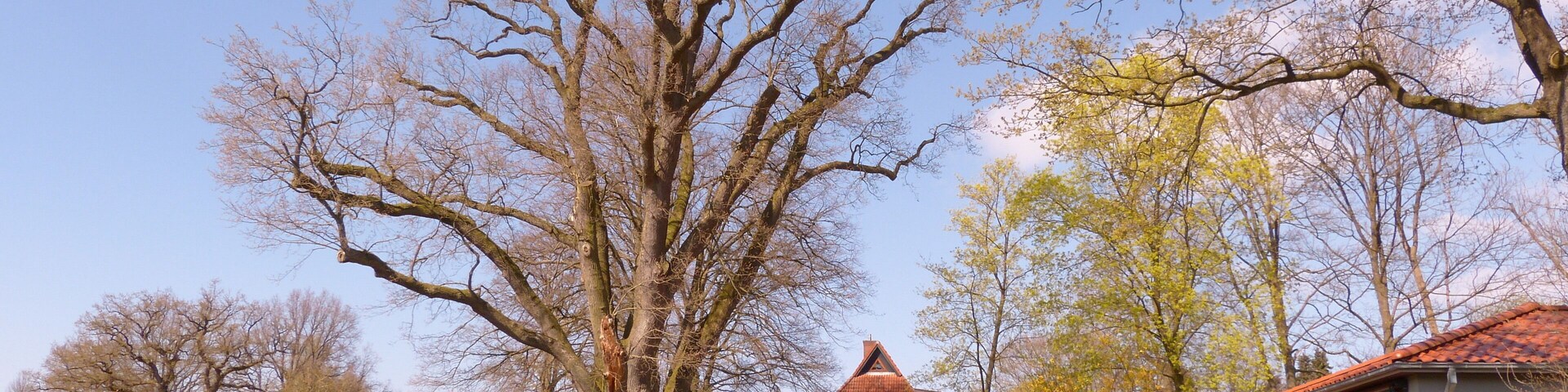 This image was uploaded as part of Wiki Loves Earth 2015.