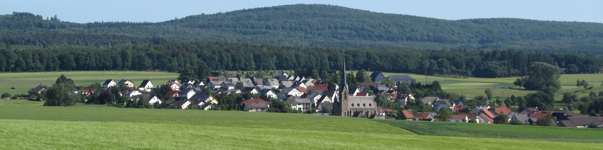 Der Berg Alteburg (620 m) im Soonwald (Hunsrück) von Süden. Im Vordergrund der Ort Seesbach
