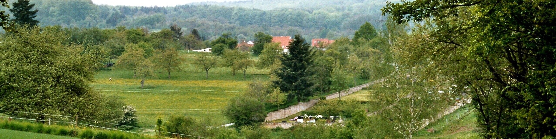 Frohnhofen, view to the village