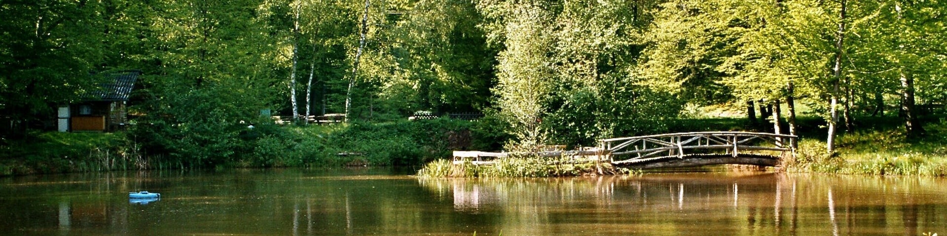 Frohnhofen, the Entenweiher