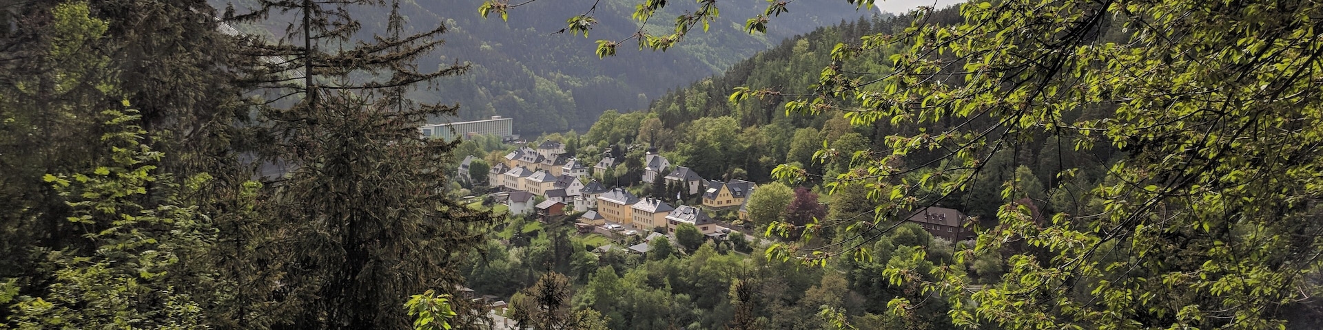 Blick auf den Ort Hohenwarte von einem Wanderweg aus.