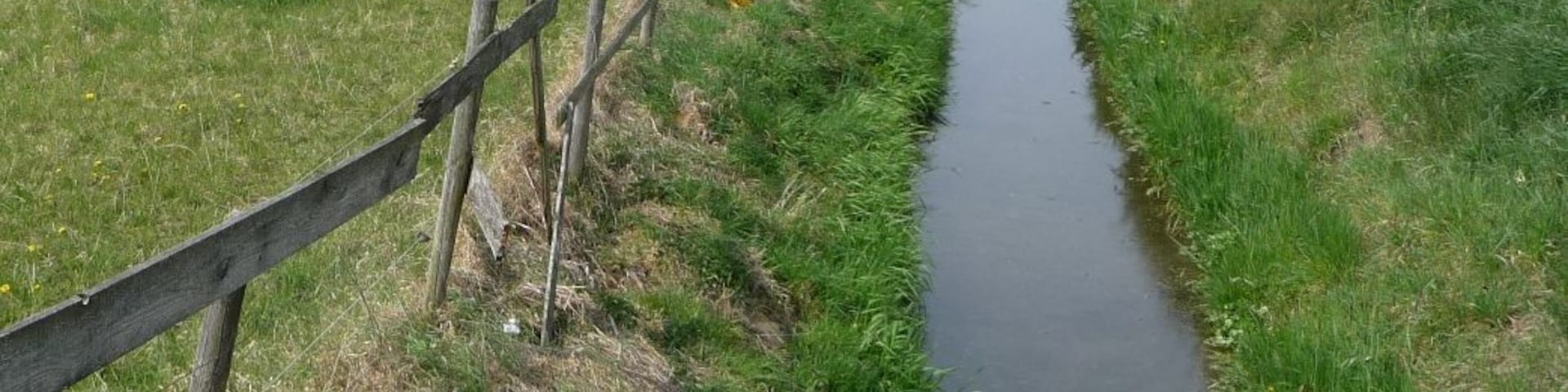 Fließgewässer in Niederkirchen