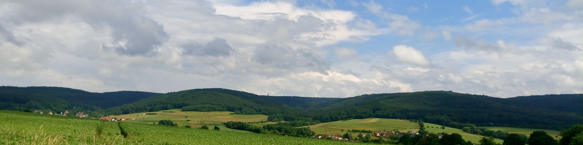 Die Eselshöhe vom oberen Kahlgrund gesehen