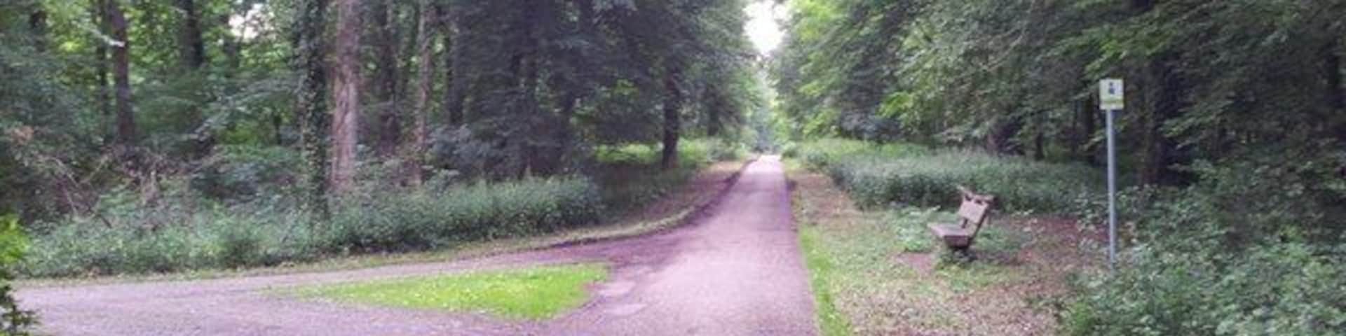 Wald bei Schwegenheim