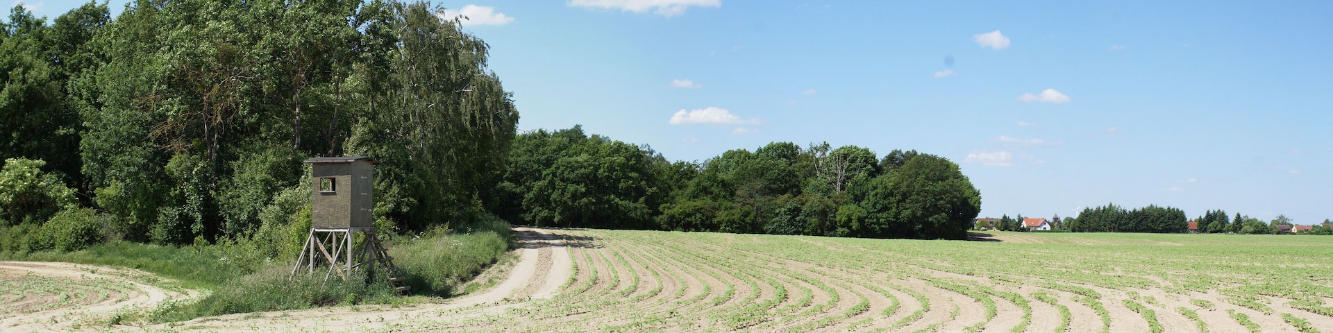 Naturschutzgebiet Leuenberger Soll in Leuenberg, Landkreis Märkisch-Oderland, Brandenburg, Deutschland. Kennung: 1096