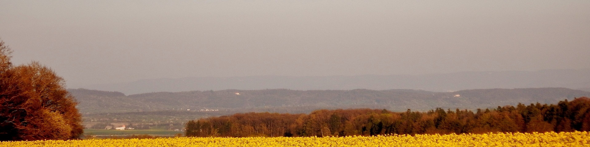 Blick zum Schönbuchrand