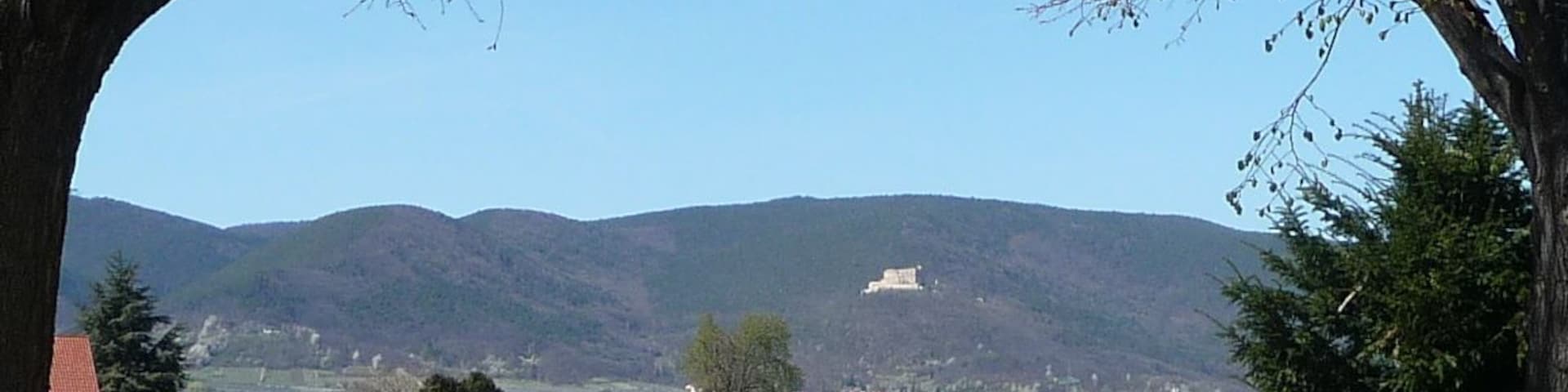 Blick vom Friedhof Kirrweiler auf die Berge der Haardt