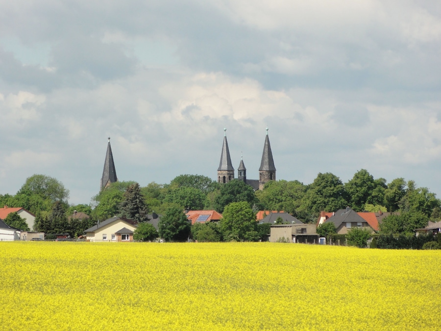 Um campo de flores amarelas, uma igreja com três torres e casas ao fundo.