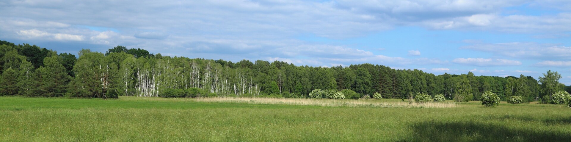 This is a picture of the protected area listed at WDPA under the ID