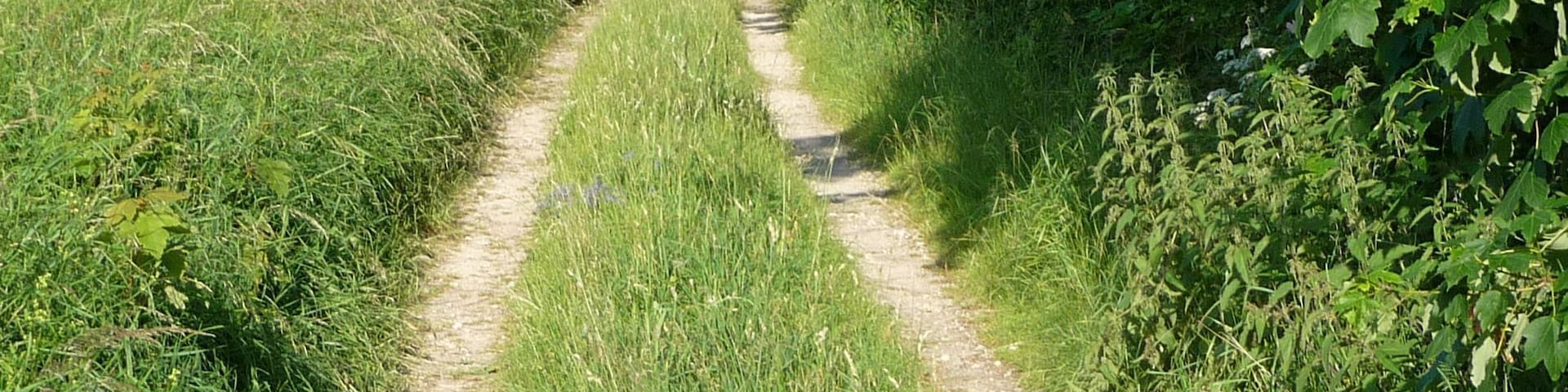 Feldweg