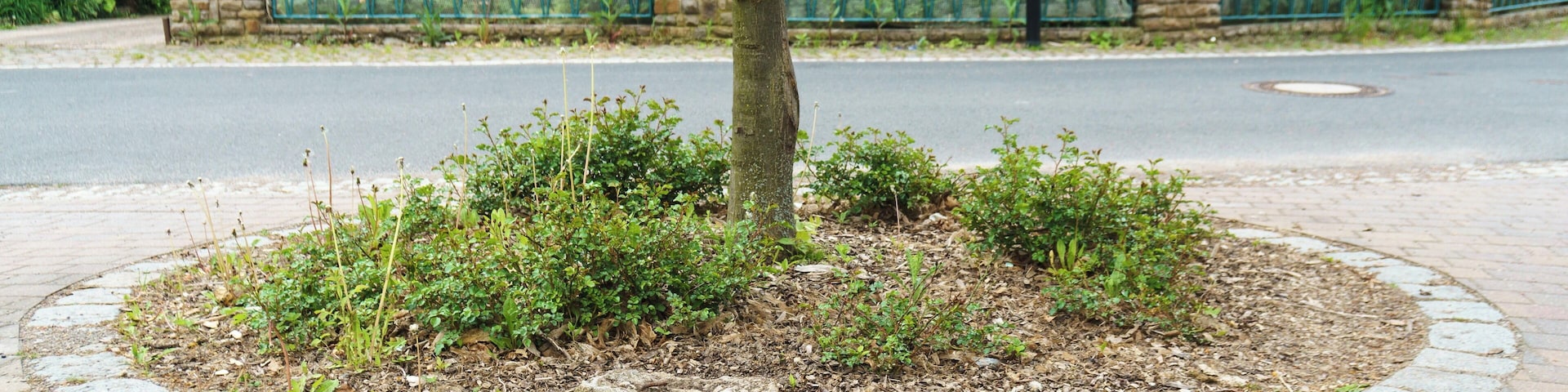 This media shows the protected monument of Saxony with the ID 08965735 KDSa/08965735(other).