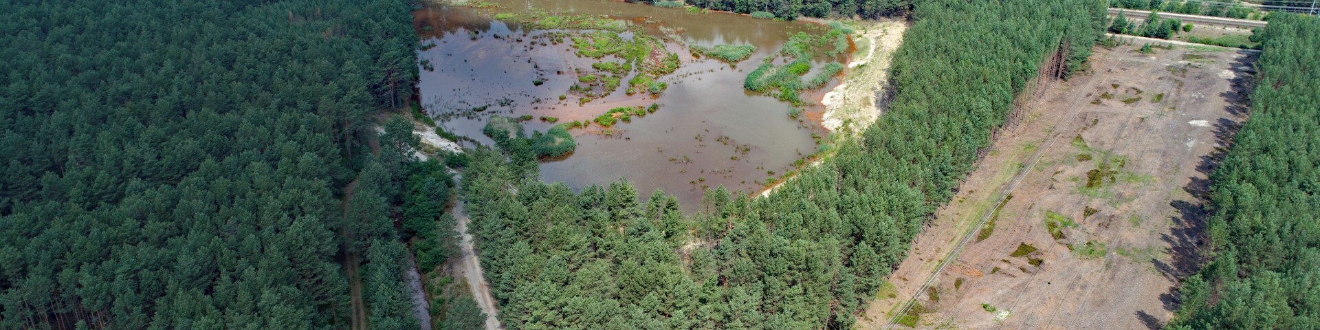 Anlandebecken Ost (between Spreewitz and Neustadt (Spree), Saxony, Germany)