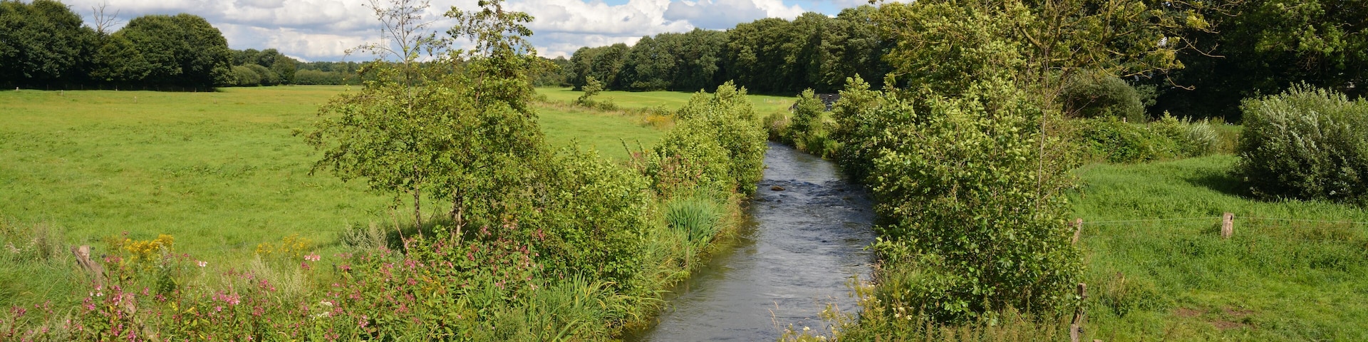 Impressionen der Störbrücke in Padenstedt