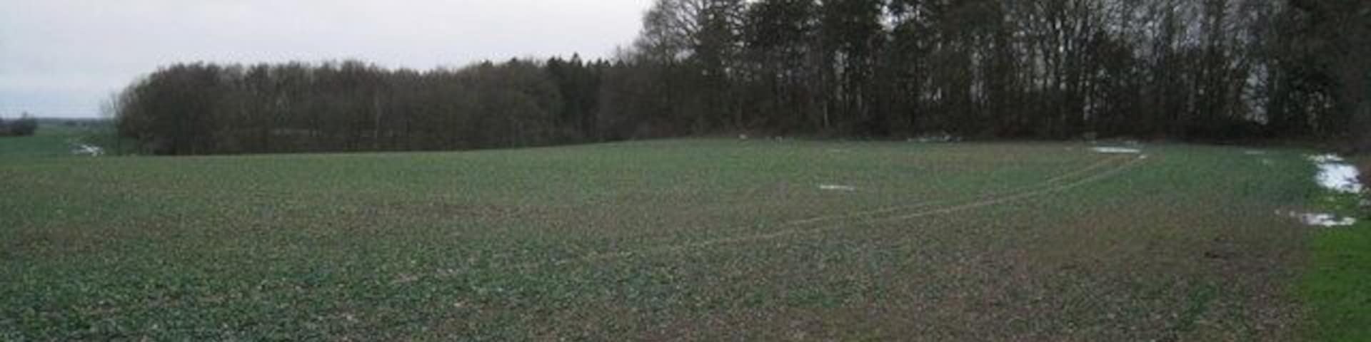 Ackerland bei Rankendorf