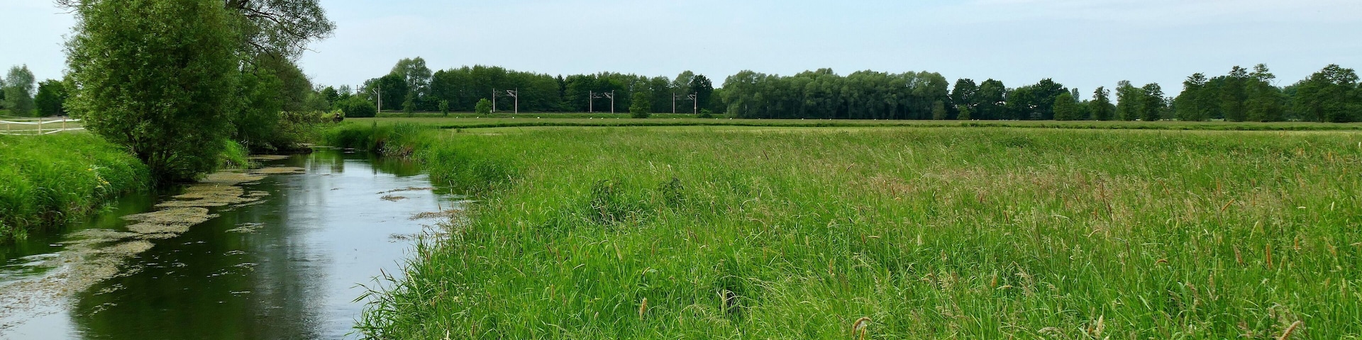 LSG-H 48 Fuhsetal: Fuhse vor der Wolfsforder Mühle, Blick gegen die Fließrichtung. Hier bildet die Fuhse die Grenze des LSG, die rechts im Bild zu sehenden Wiesen liegen im Landschaftsschutzgebiet.