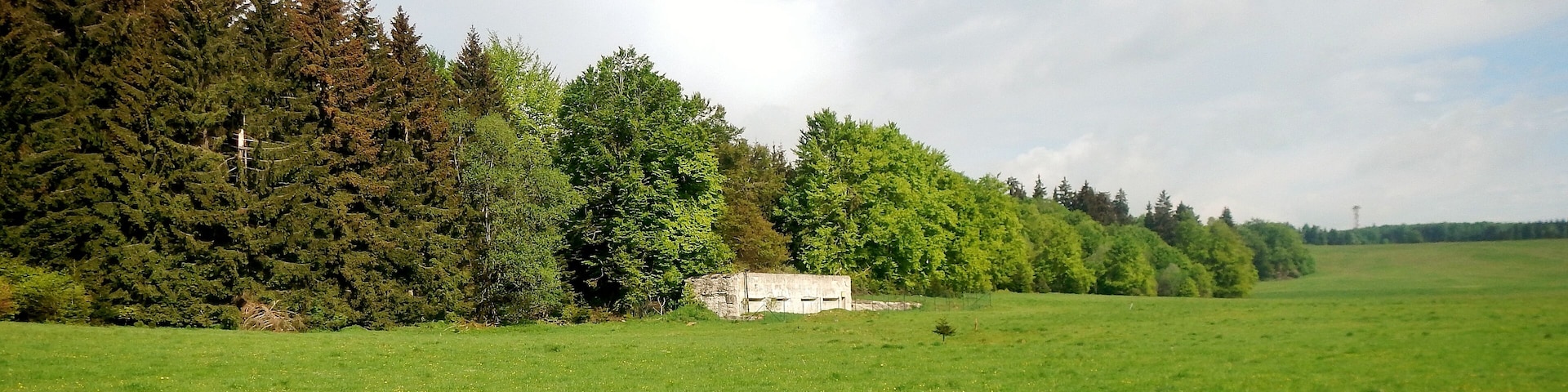 Herzstück des Biosphärengebiets der schwäbischen Alb: Der ehemalige Truppenübungsplatz Münsingen im sogenannten Münsinger Hardt