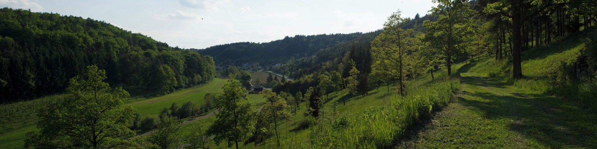 Blick vom Waldstetter Hohlgraben auf den Heinzenberg (unteren Teil des freien Hügels), Stein (oberer Teil des freien Hügels), Untere Klinge (links)