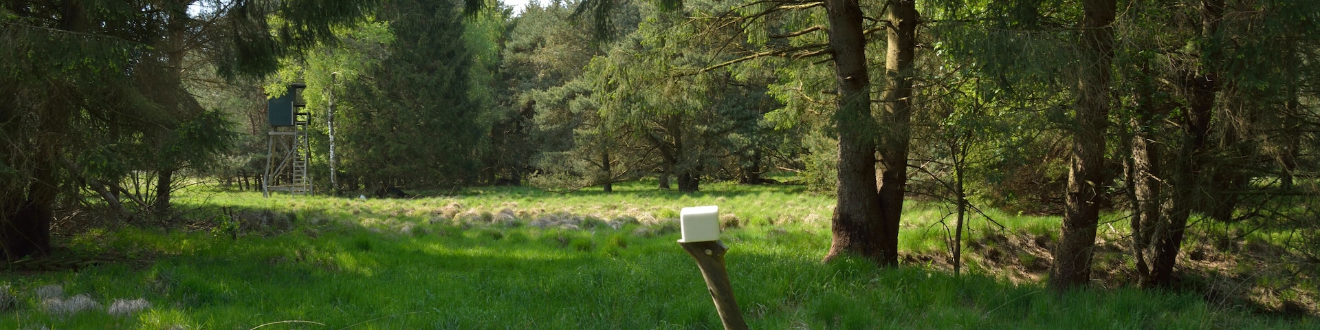 This is a picture of the protected area listed at WDPA under the ID