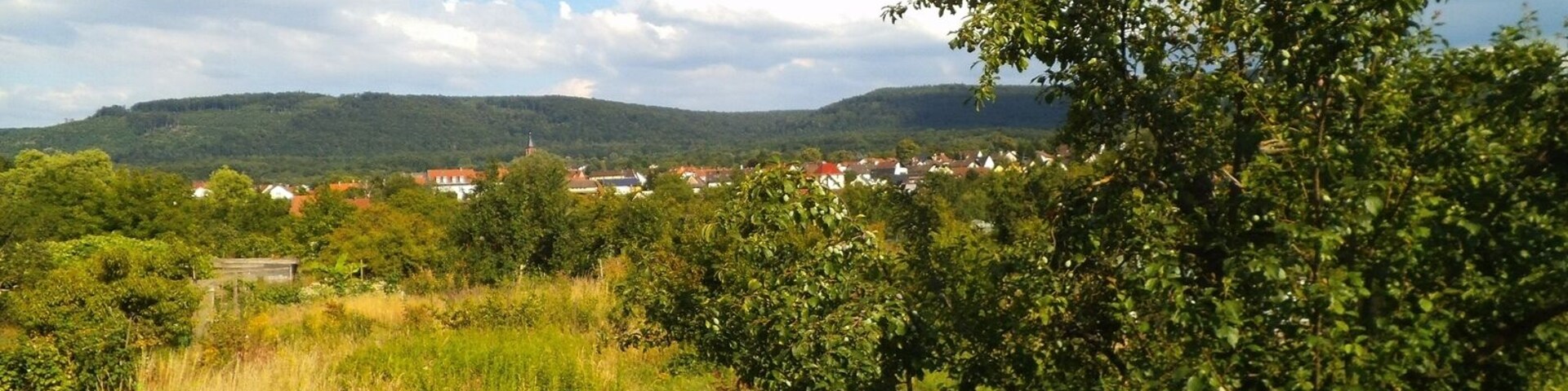 Naturschutzgebiet Federbachbruch