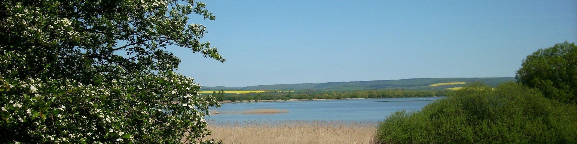The Kelbra Reservoir on the river Helme in the Mansfeld-Südharz district of Saxony-Anhalt, view from the south-west
