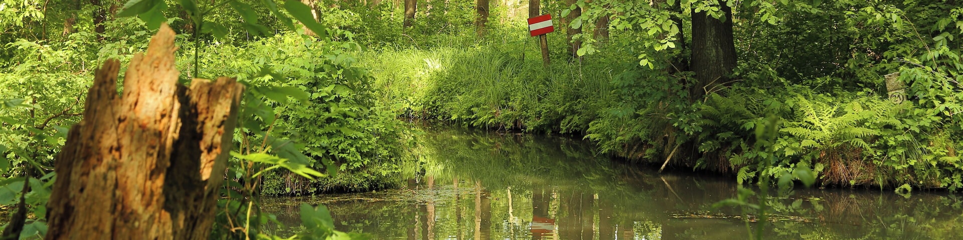 This is a picture of the protected area listed at WDPA under the ID