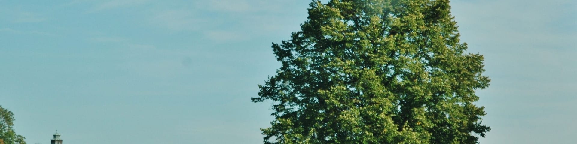 Blick von der B31 Richtung Schloss Hersberg