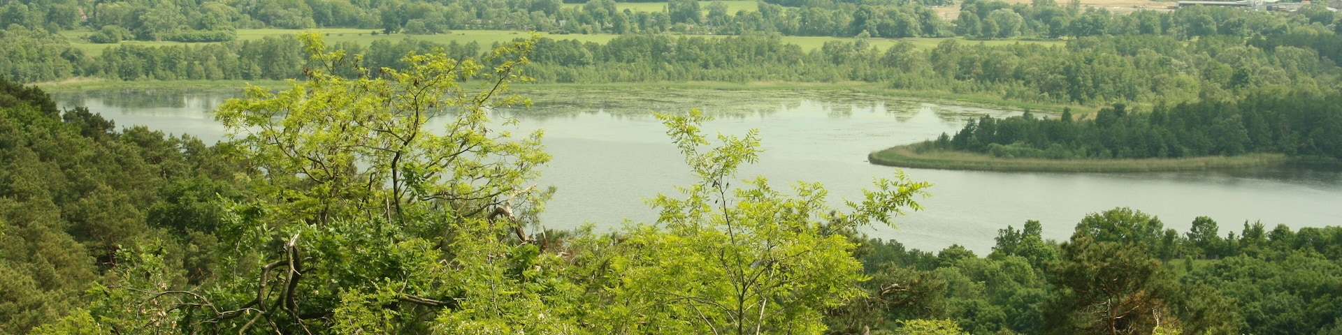 Aussichtspunkt Pimpinellenberg