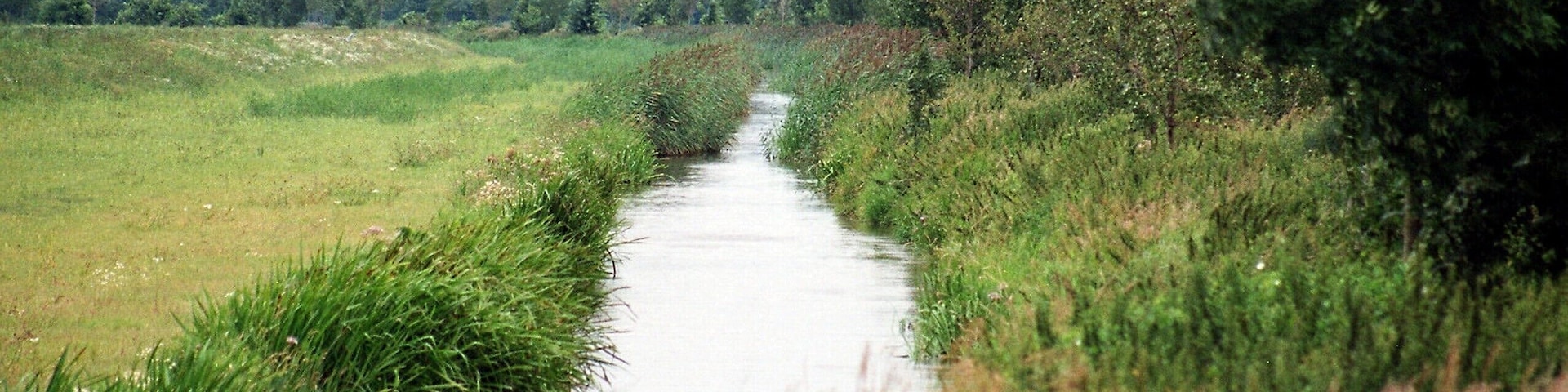 Grafhorst, the Aller