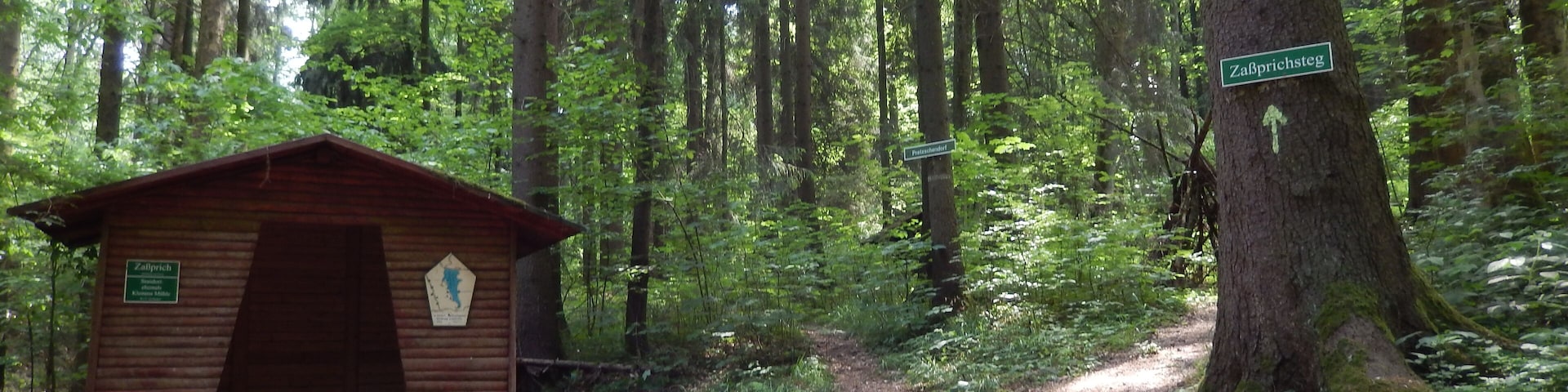 Klingenberg: Holzmühlenweg, Zasprich LSG Tal der Wilden Weißeritz, CDDA-Code 324988
