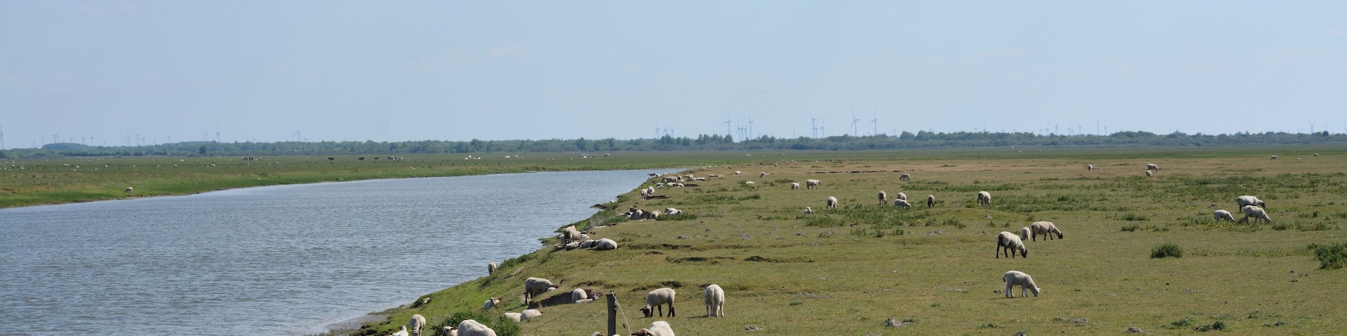 This is a picture of the protected area listed at WDPA under the ID