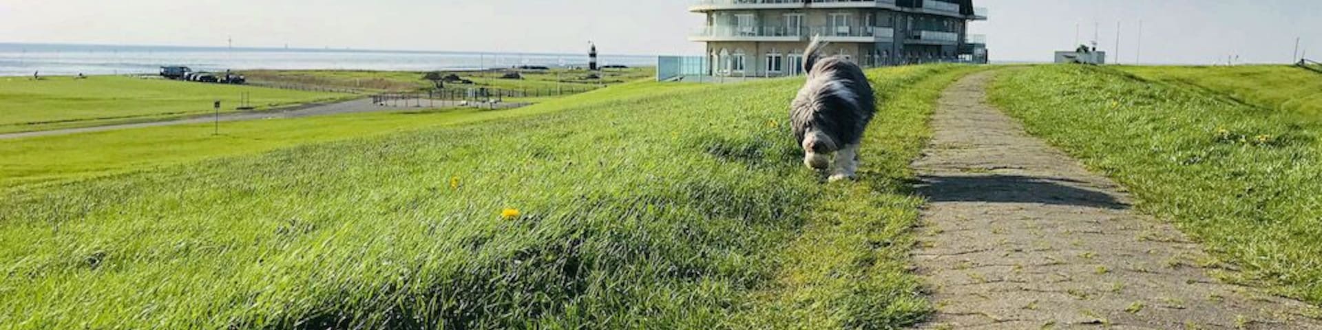 Spaziergang mit Hund