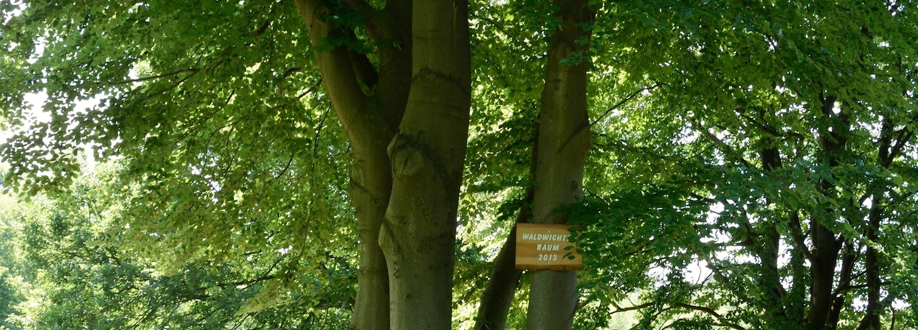 This image was uploaded as part of Wiki Loves Earth 2014.