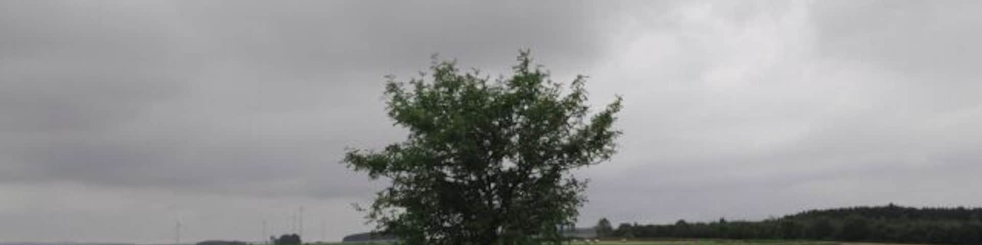 Kolonnenweg bei Grobau