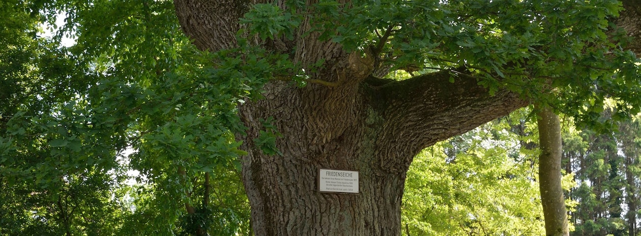 This image was uploaded as part of Wiki Loves Earth 2014.