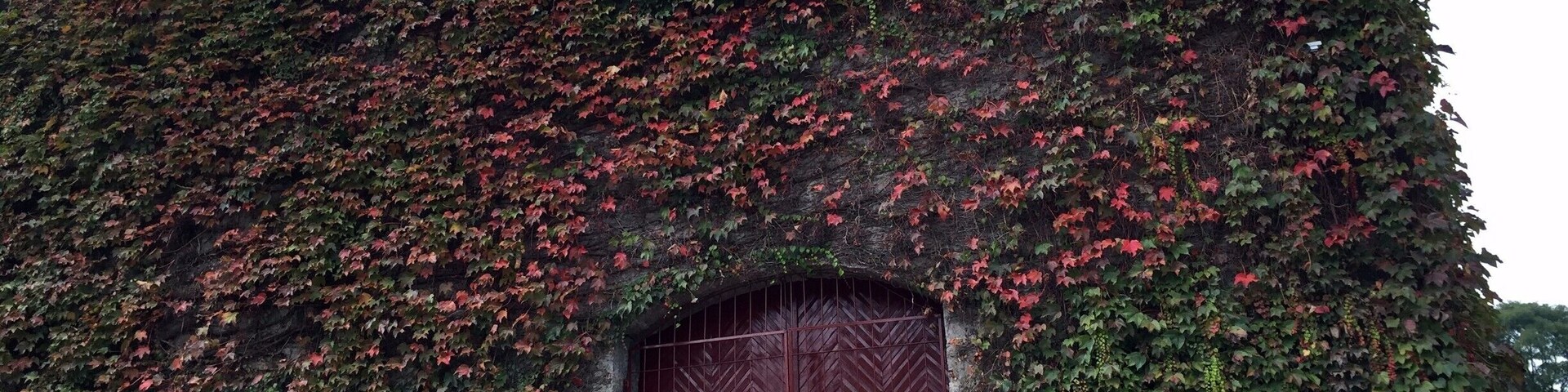 The winery at Don Giovanni, located way up a mountain through winding roads with stunning views, is charming. Our visit to the vinicola included a short tour and then a tasting. Really enjoyed the wines! The property also has a pousada onside.