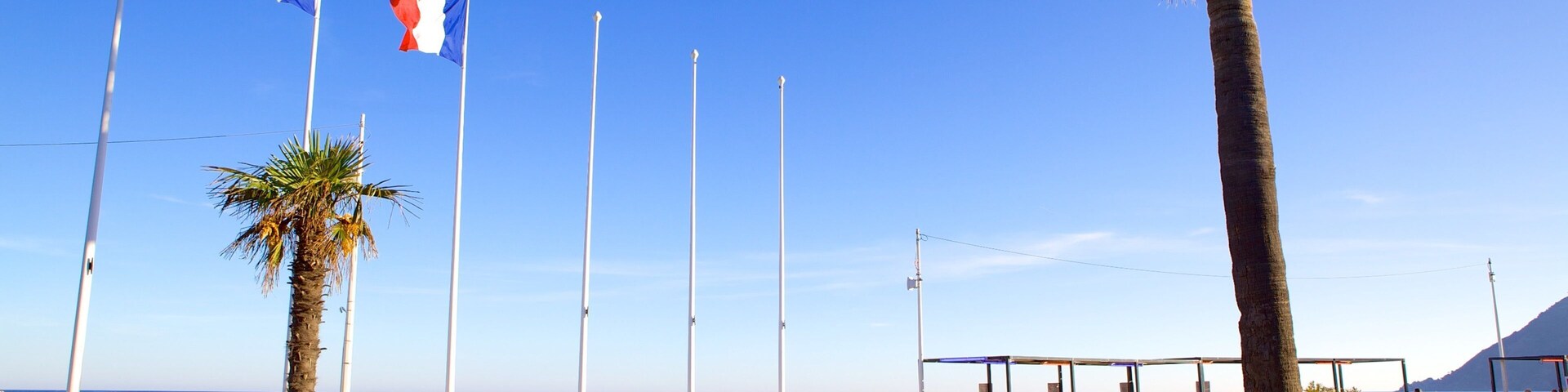 Provence featuring tropical scenes