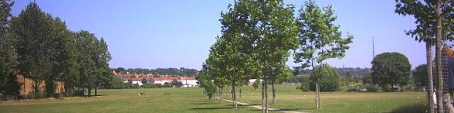Norbury Park. In the distance on the right is the Beulah Hill transmitter mast.
