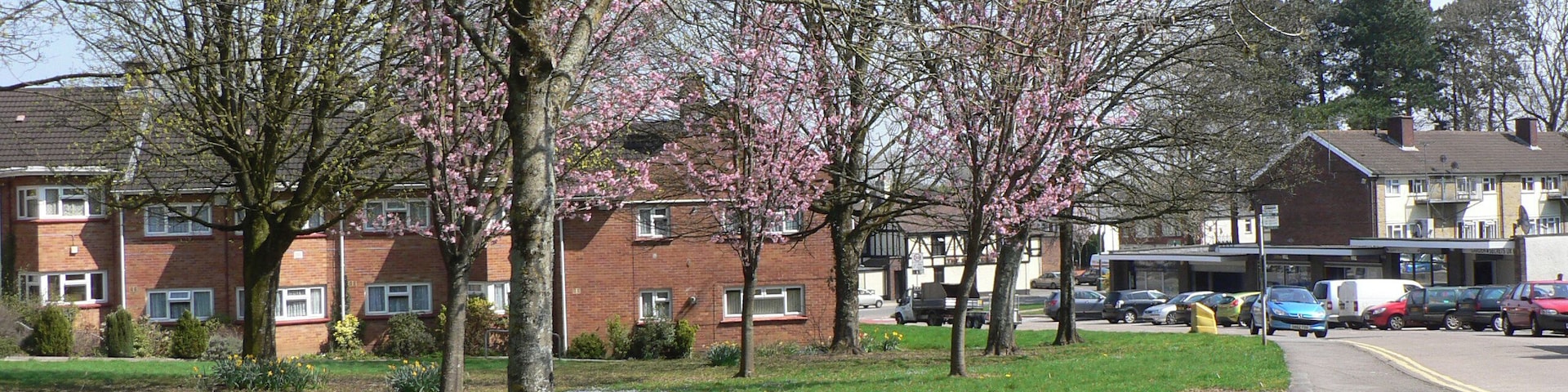 Hollybush Estate Road - Coryton