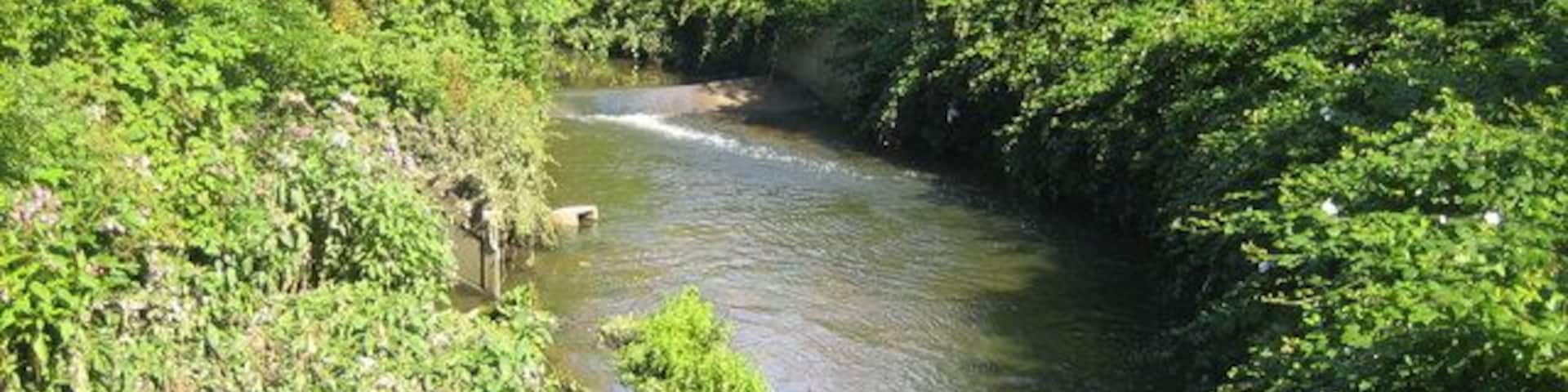 Silk Stream in Colindale Looking upstream from the Colindeep Lane bridge, the distant disturbance in the water is caused by a weir.