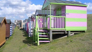 Uma fileira de cabanas coloridas na praia, com um caminho gramado que as leva.