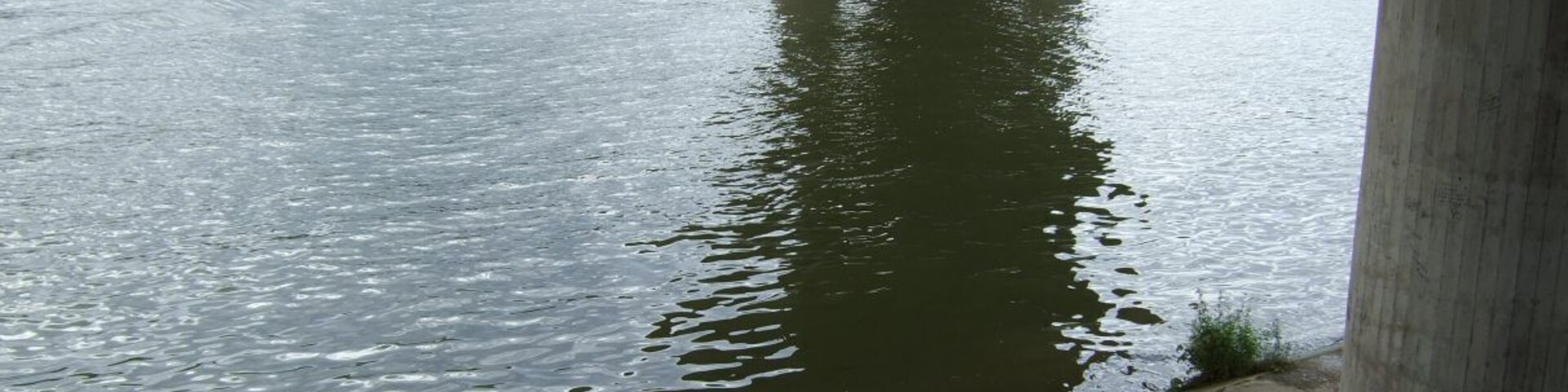 Neckar bei Untertürkheim, unter der Hafenbahnbrücke