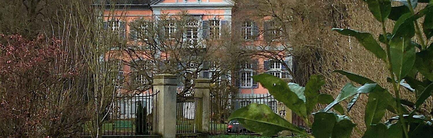 Замок Арф в районе Роггендорф/Тенховен (Кёльн). 4 февраля 2017.